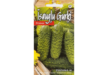 Kurgid Zuzana H | BARBORA